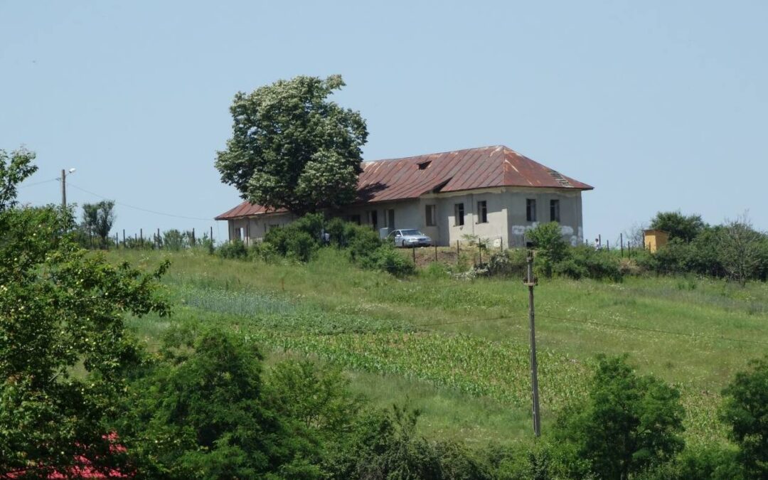 Casa în care a copilărit poetul Macedonski a ajuns o ruină