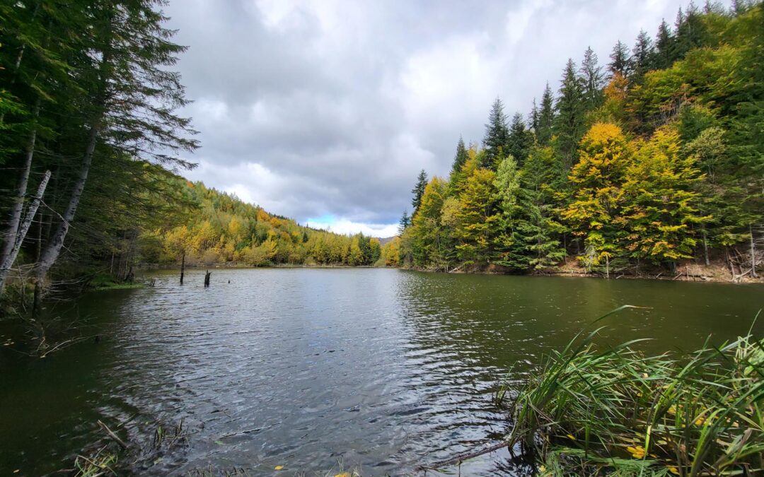 Lacul Agăș, comoara din Munții Tarcăului | Turism Istoric