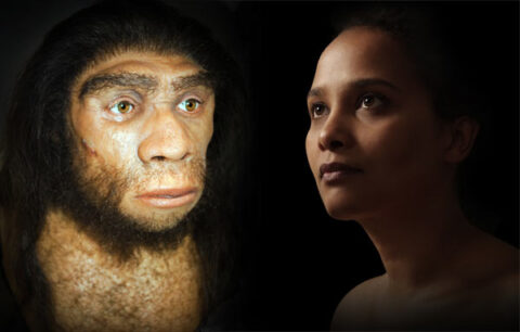 Iubiri preistorice interzise: moștenirea neanderthaliană